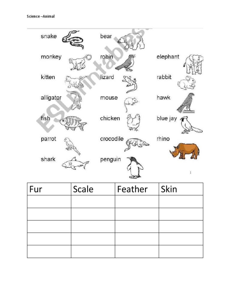 Fur Scale Feather Skin: Science - Animal | PDF