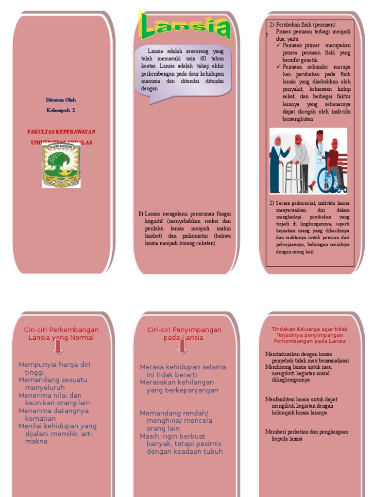 Leaflet Lansia | PDF