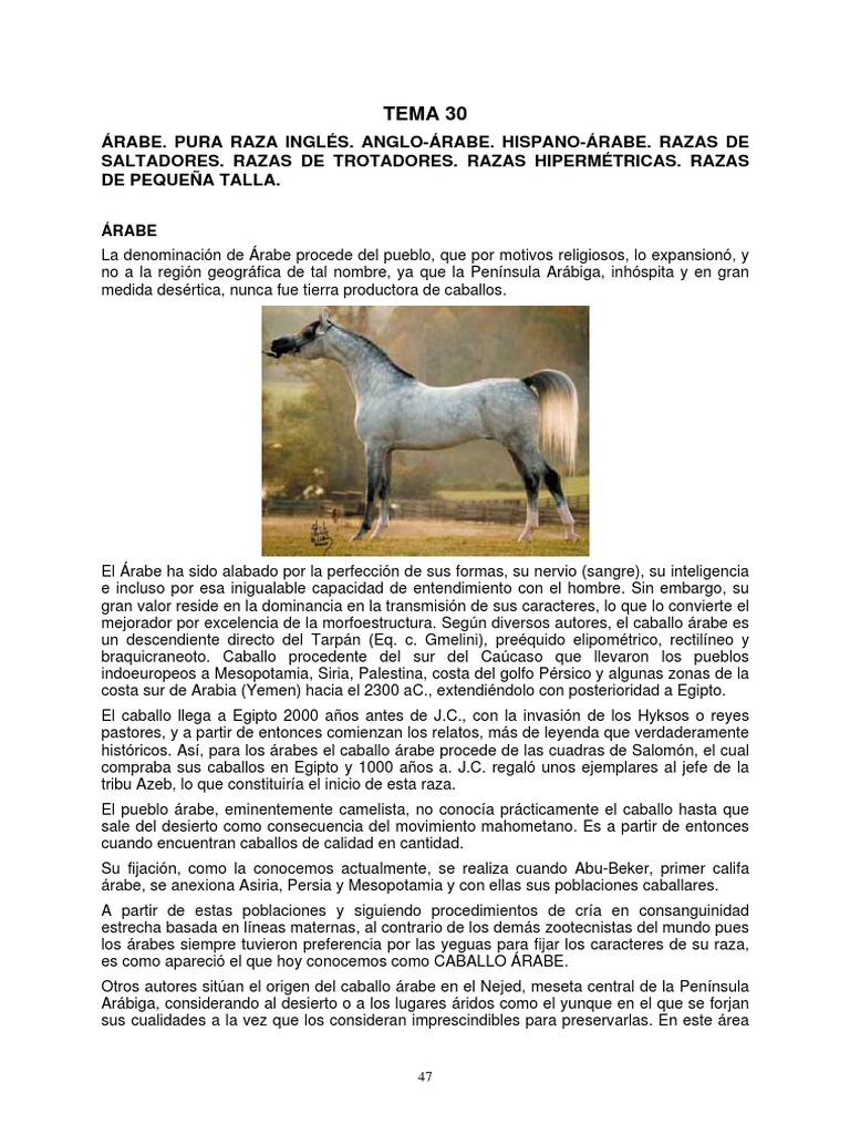 Razas Equinas | PDF | Caballos | Entrenamiento de caballos