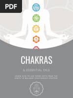 Build Guide Rank Planner doTERRA | PDF | Multi Level Marketing | Mentorship