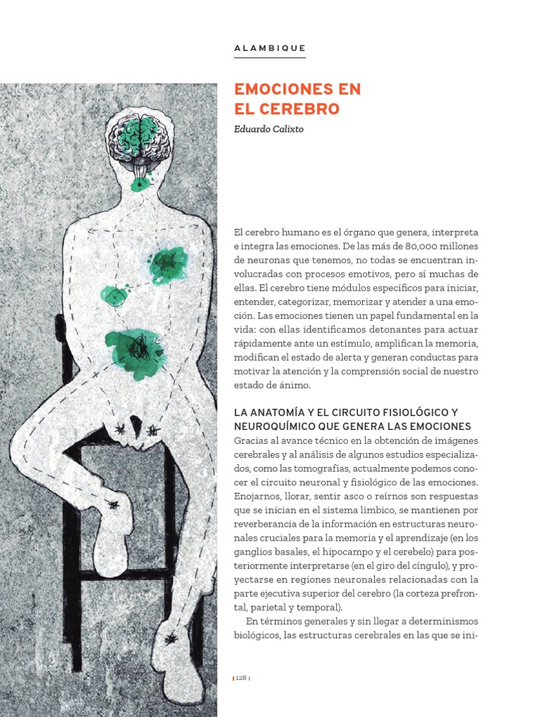 Emociones en El Cerebro Eduardo Calixto | Cerebro | Sistema límbico