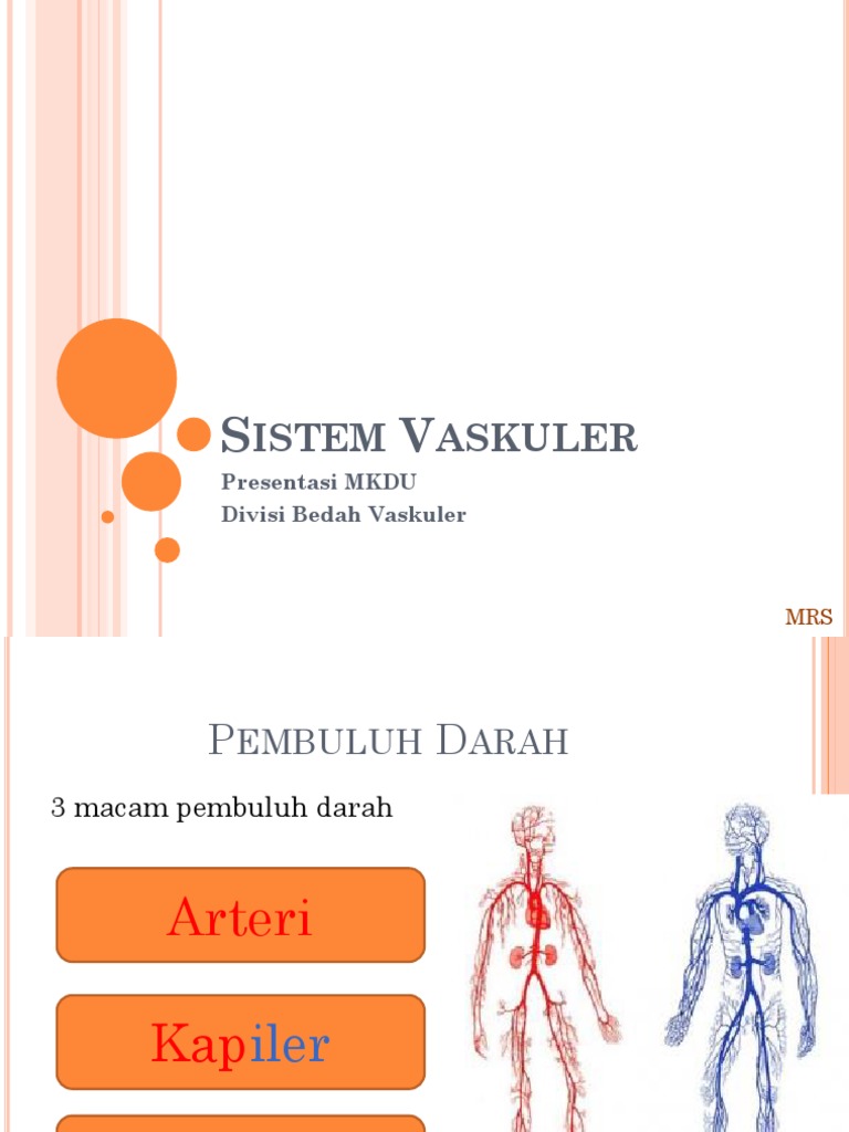 Macam-Macam Pembuluh Darah Vaskular | PDF