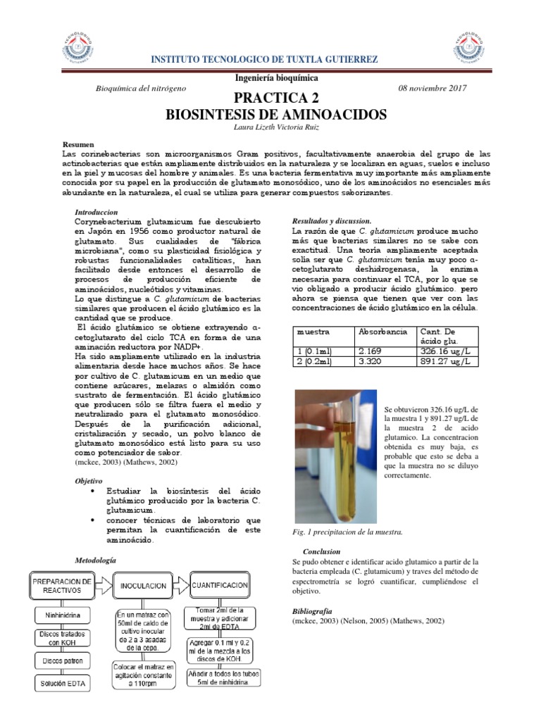 Reporte Practica 2 Bio | PDF | Ácido glutamico | Biología