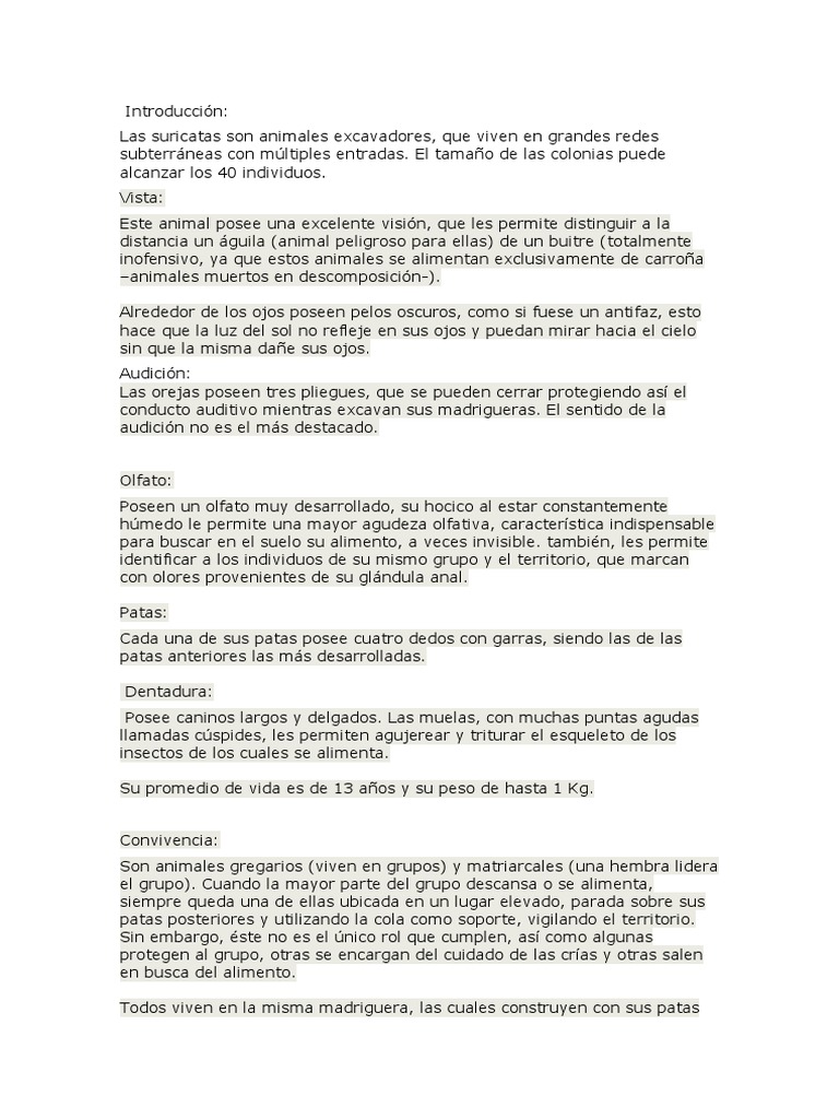 Suricatas | PDF | Suricata | Organismos