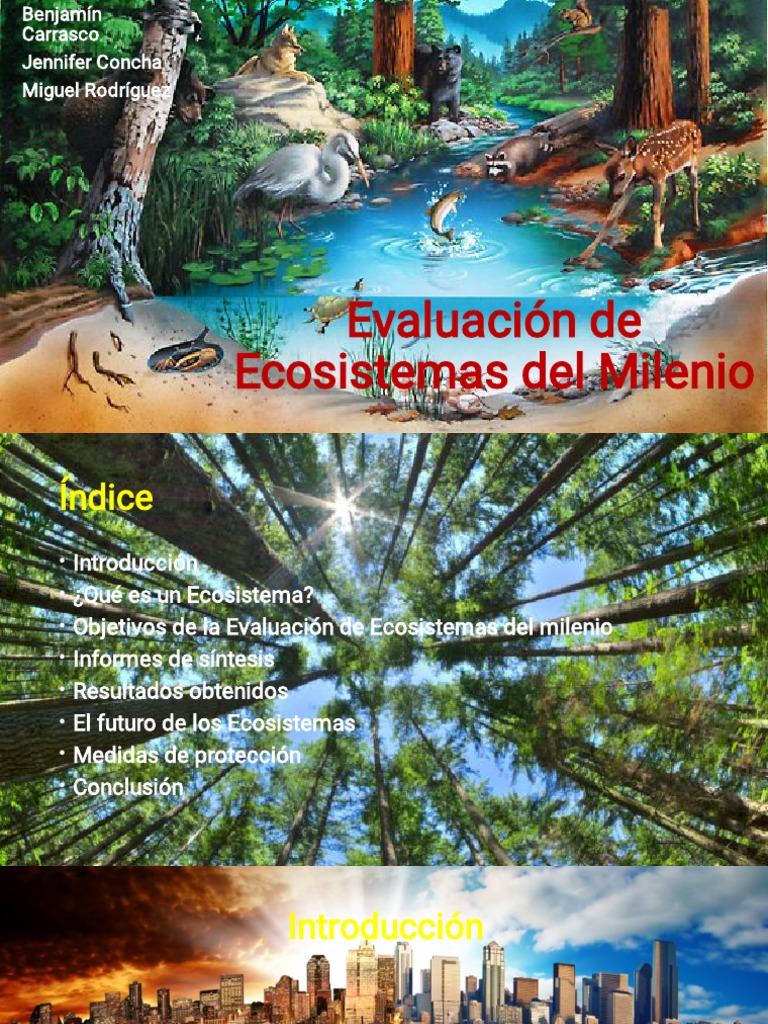 Evaluación De Ecosistemas Del Milenio Pdf Ecosistema Entorno Natural