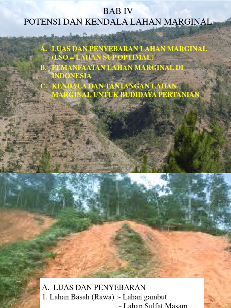 Bab Iii. Sebaran Lahan Marginal | PDF