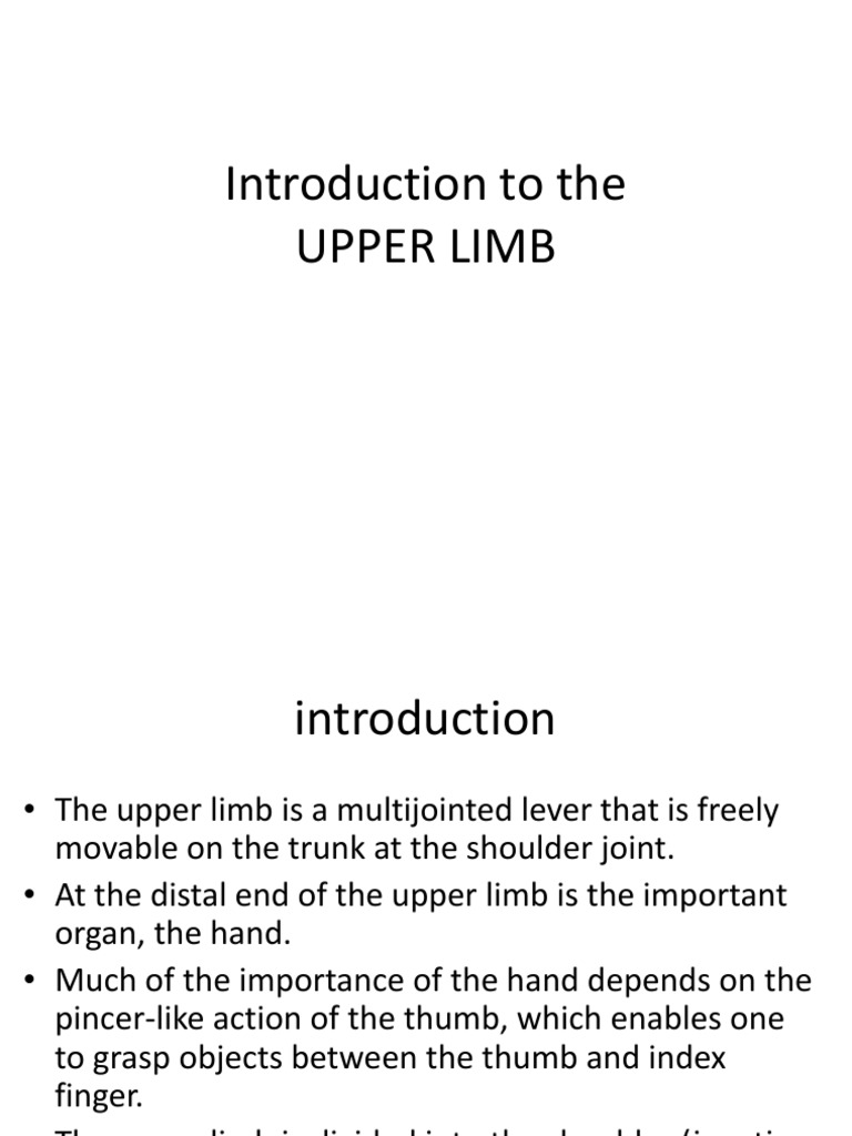 Upper Limb 1 | PDF | Arm | Hand