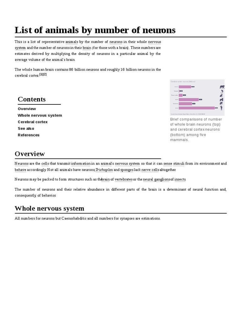List of Animals by Number of Neurons | PDF | Nervous System | Brain