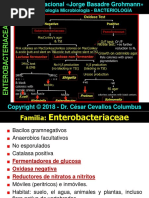 TEORIA 7 Enterobacterias | PDF | Escherichia coli | Salmonela