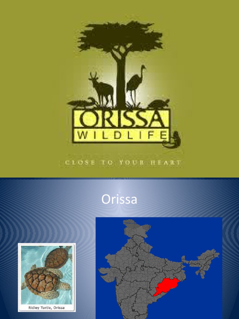 Indo-German Training Centre in Orissa | PDF