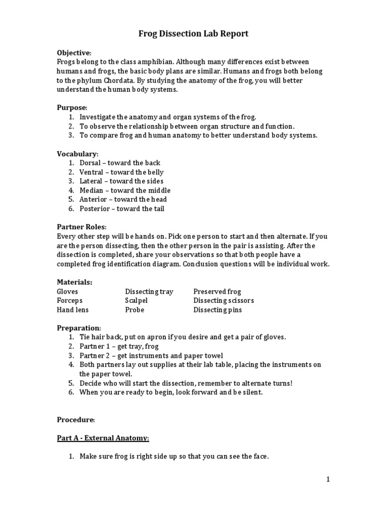 Frog Dissection Worksheet