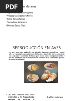 Fisiología de La Lactancia - Mamogénesis y Lactogénesis | PDF ...