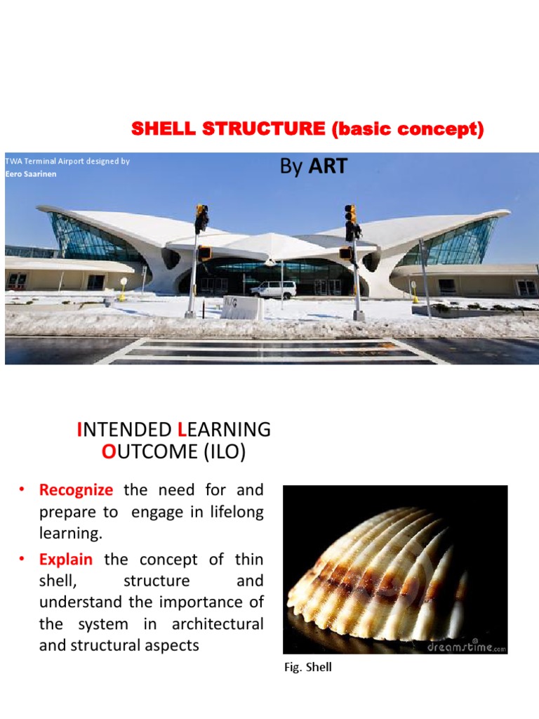 007 Bt5 Shell Structure Basic Concept | PDF | Bending | Nature
