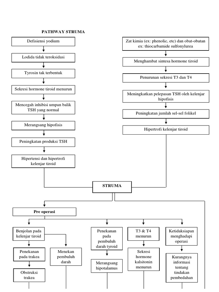 Pathway Struma 2007 | PDF