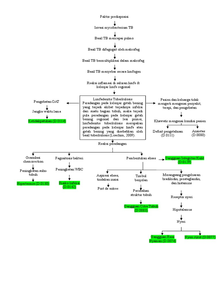 Pathway Limfadenitis Tb