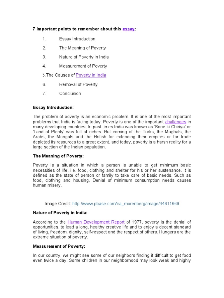 7 Important Points To Remember About This Essay | PDF | Business