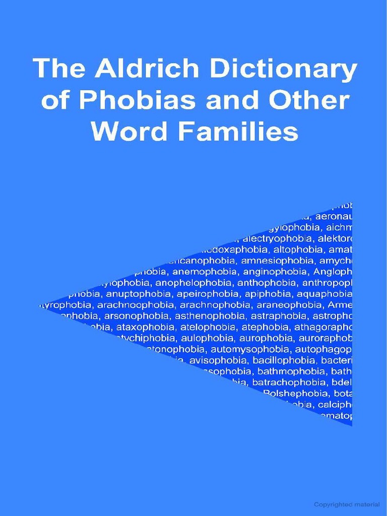 Aldrich Dictionary of Pho Biss and Other Word Families | PDF
