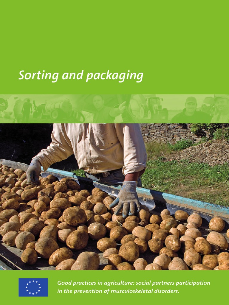 Sorting and Packaging ENG | PDF | Packaging And Labeling | Robot