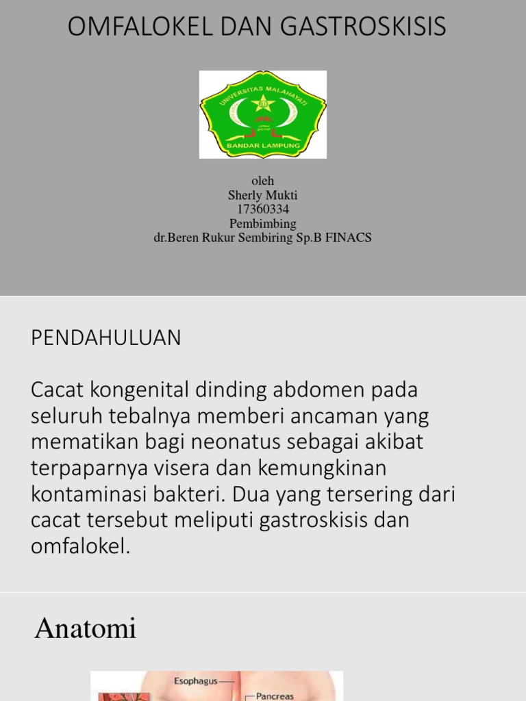 Omfalokel Dan Gastroskisis | PDF