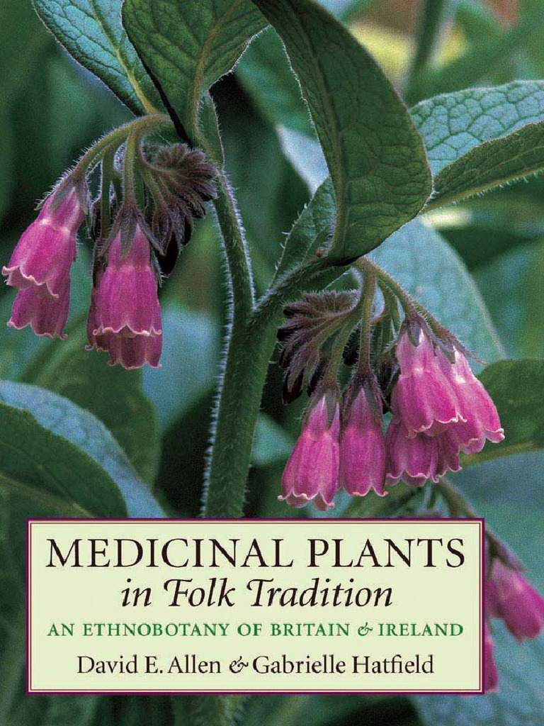 Medicinal Plants in Folk Tradition | PDF | Herbalism | Traditional Medicine
