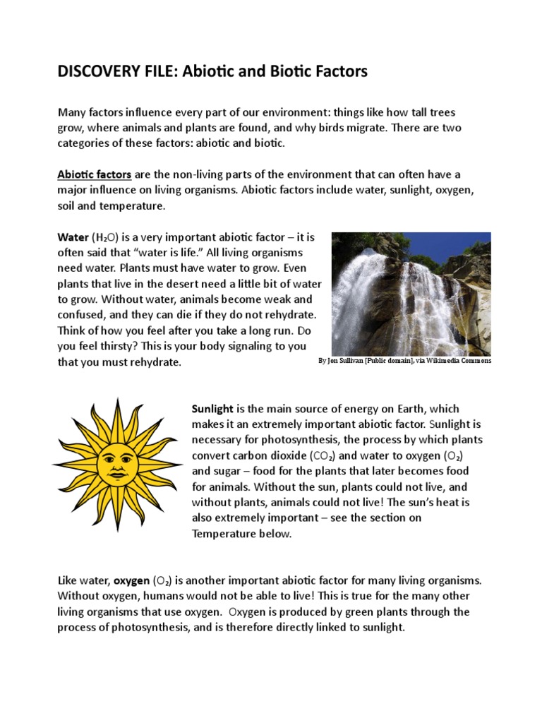 Example Of Abiotic Factors