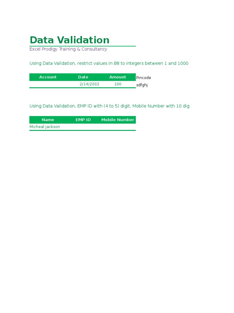 06 DataValidation | PDF | Balance Sheet | Business