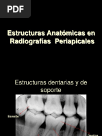 Canino Temporal Superior | PDF | Anatomia dental | Diente