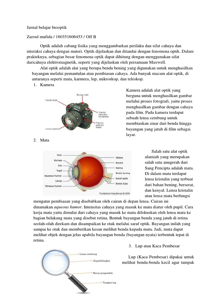 Jurnal Belajar Biooptik | PDF