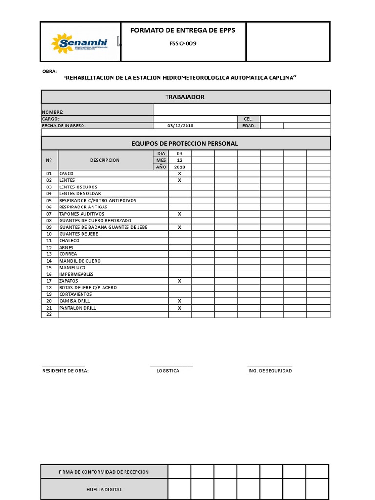 Formato Registro de Epps | PDF