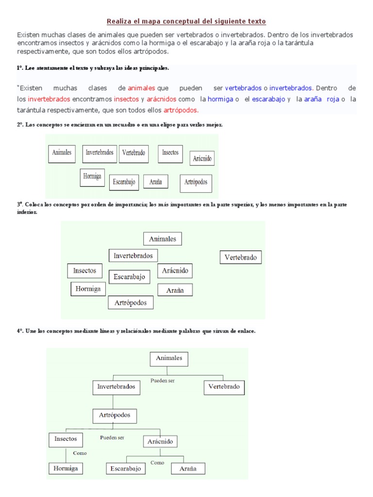 Mapa Conceptual de Animales Vertebrados e Invertebrados | PDF