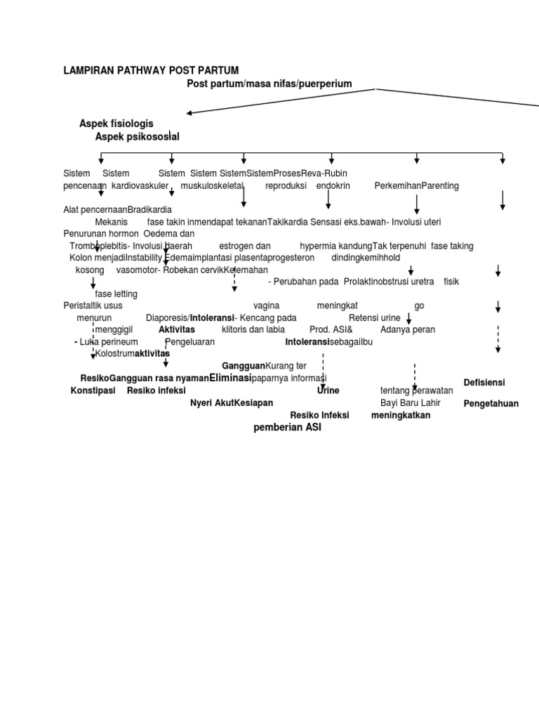 Lampiran Pathway Post Partum | PDF