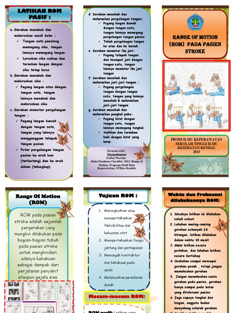 Leaflet ROM Stroke | PDF