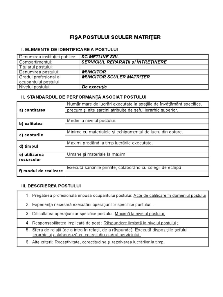 27 06 Fisa Postului Sculer Matriter | PDF