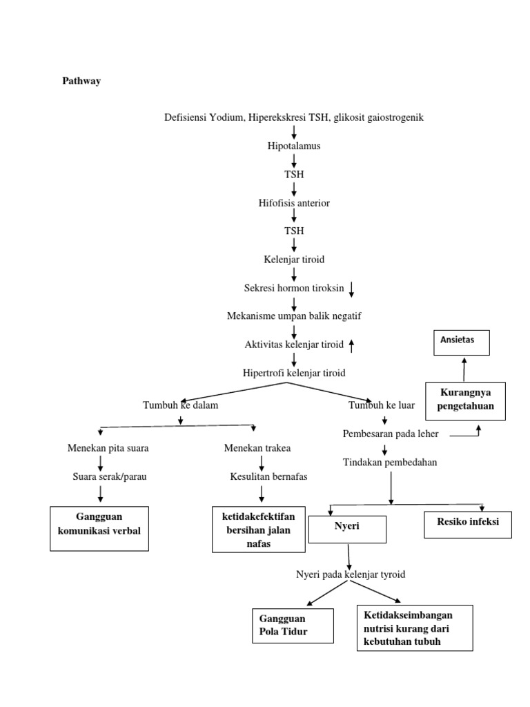 Pathway Struma | PDF