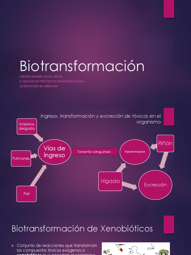 Bio Transformaci Ó N | PDF | Biotransformación | Glutatión
