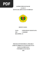 Pengamatan Sel Gabus Singkong | PDF | Griya & Taman