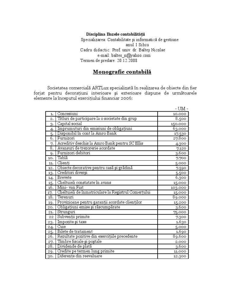 Monografie Contabila | PDF