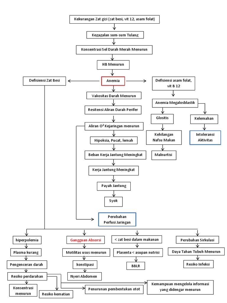 Pathway Anemia