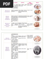 Test de Dubowitz | PDF | Tobillo | Pie