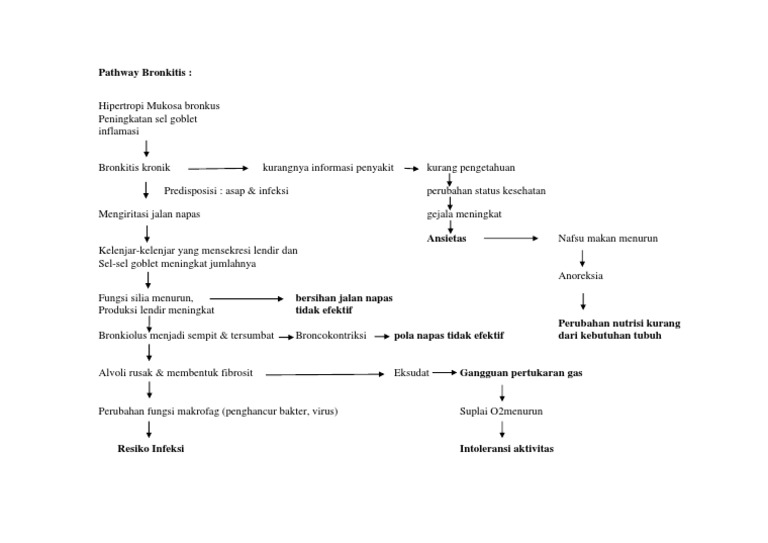 Pathway Bronkitis | PDF | Kesehatan Holistik