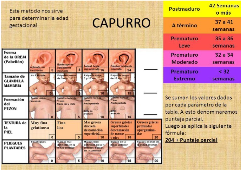 Capurro | PDF