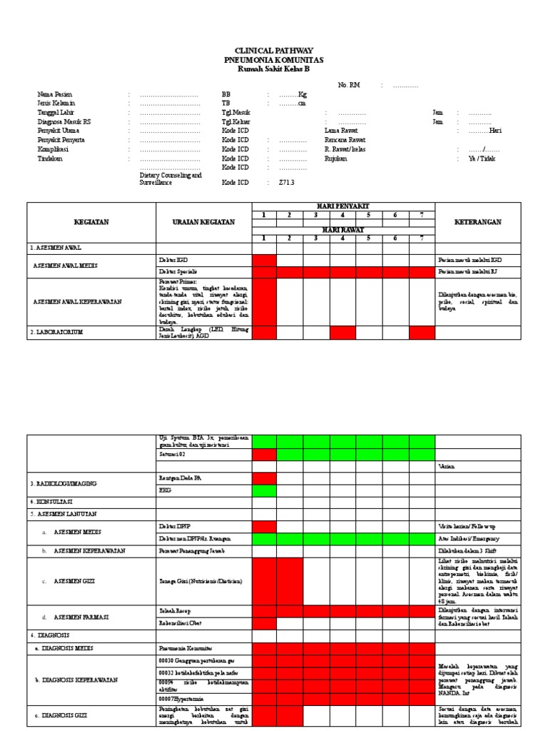 CP Bronchopneumonia Anak | PDF