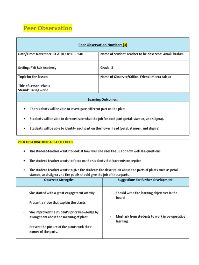 Peer Observation 3 | PDF | Educational Assessment | Lesson Plan