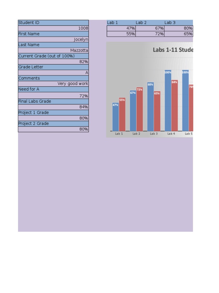 Kayla Scaringella - Project 2 | PDF | Behavior Modification