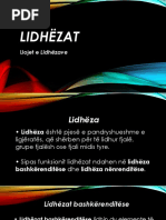 Klasifikimi I Foljeve Ne Zgjedhime | PDF