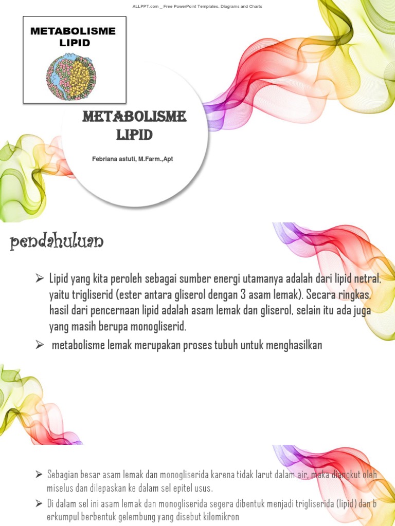 Metabolisme Lipid | PDF