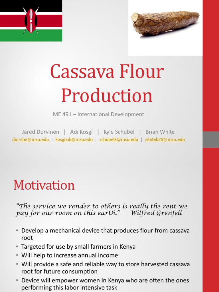 Cassava Final Presentation | Download Free PDF | Food And Drink | Nature