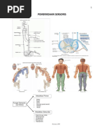Screendem P KIrwan Spondyloarthropathy | PDF