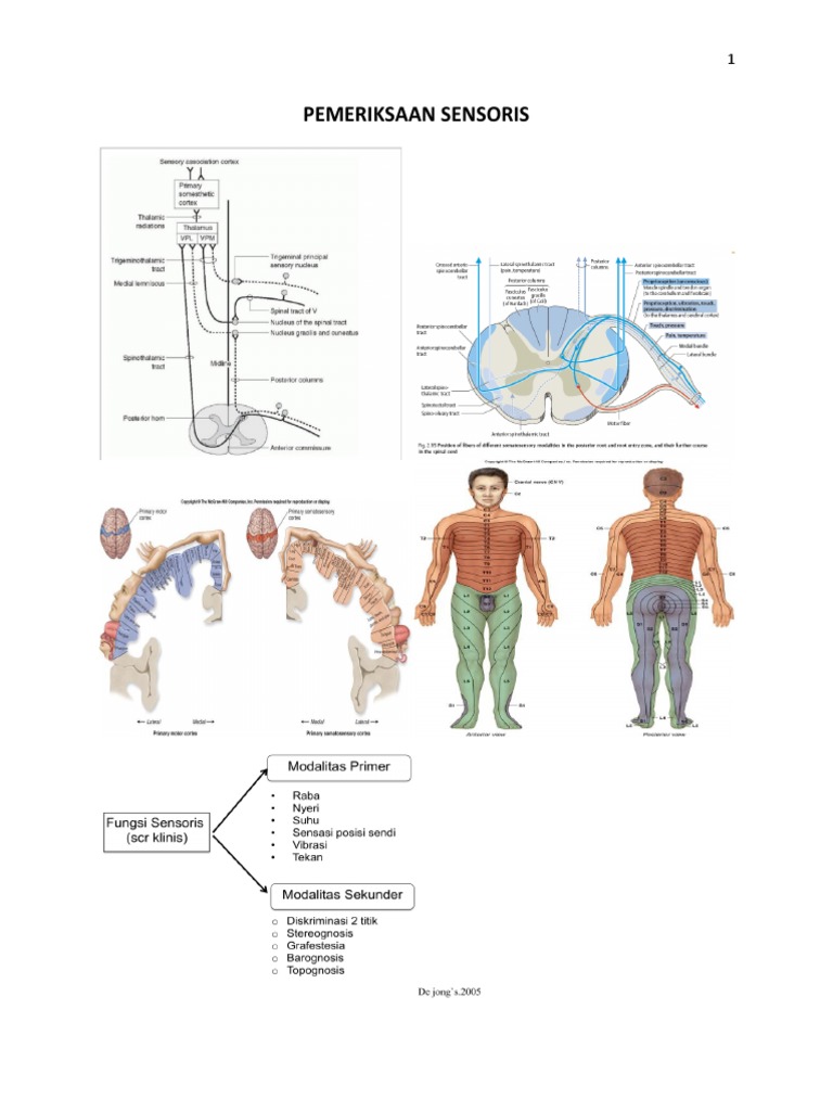 Understanding Sensory Examination: A Guide to Testing Proprioception ...