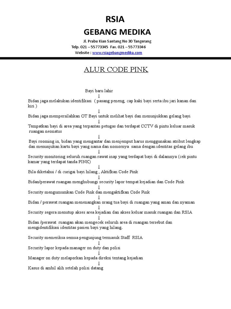 Alur Code Pink | PDF